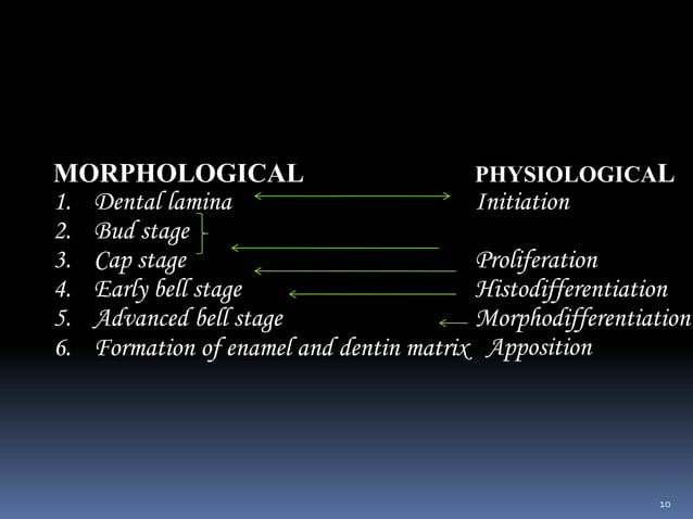 Development of teeth and developmental defects | PPTX