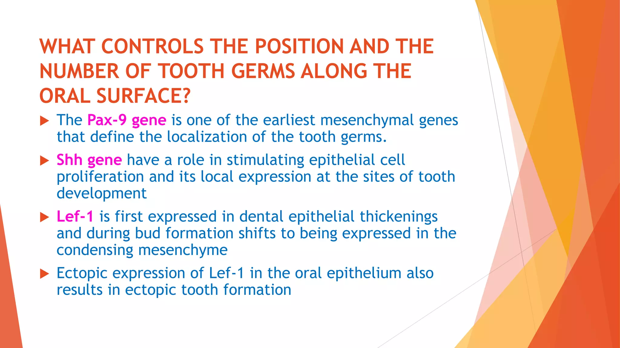 Development of teeth and supporting structures ppt Dr. Vasavi Reddy | PPTX