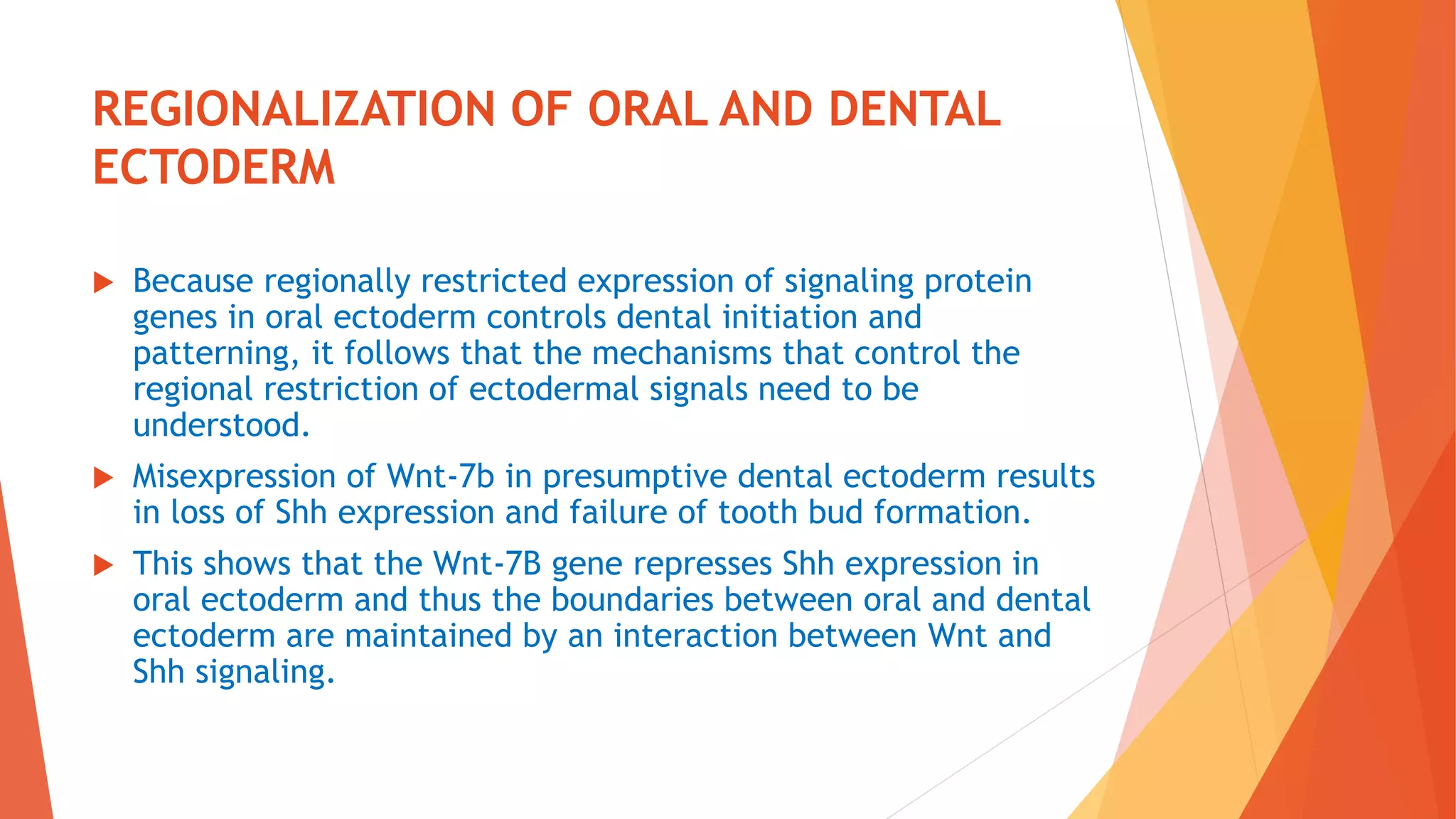 Development of teeth and supporting structures ppt Dr. Vasavi Reddy | PPTX