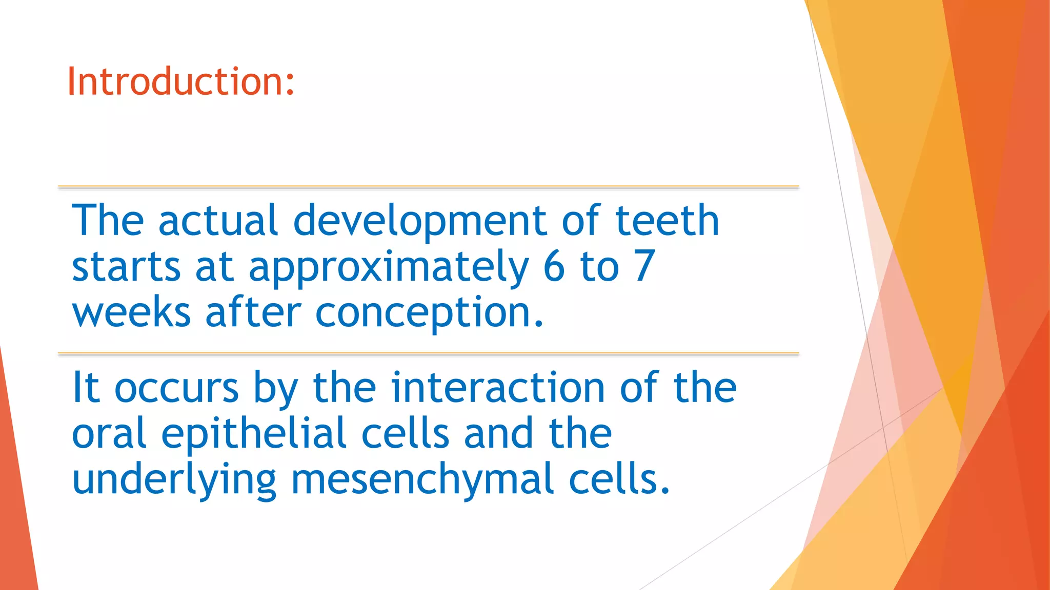 Development of teeth and supporting structures ppt Dr. Vasavi Reddy | PPTX