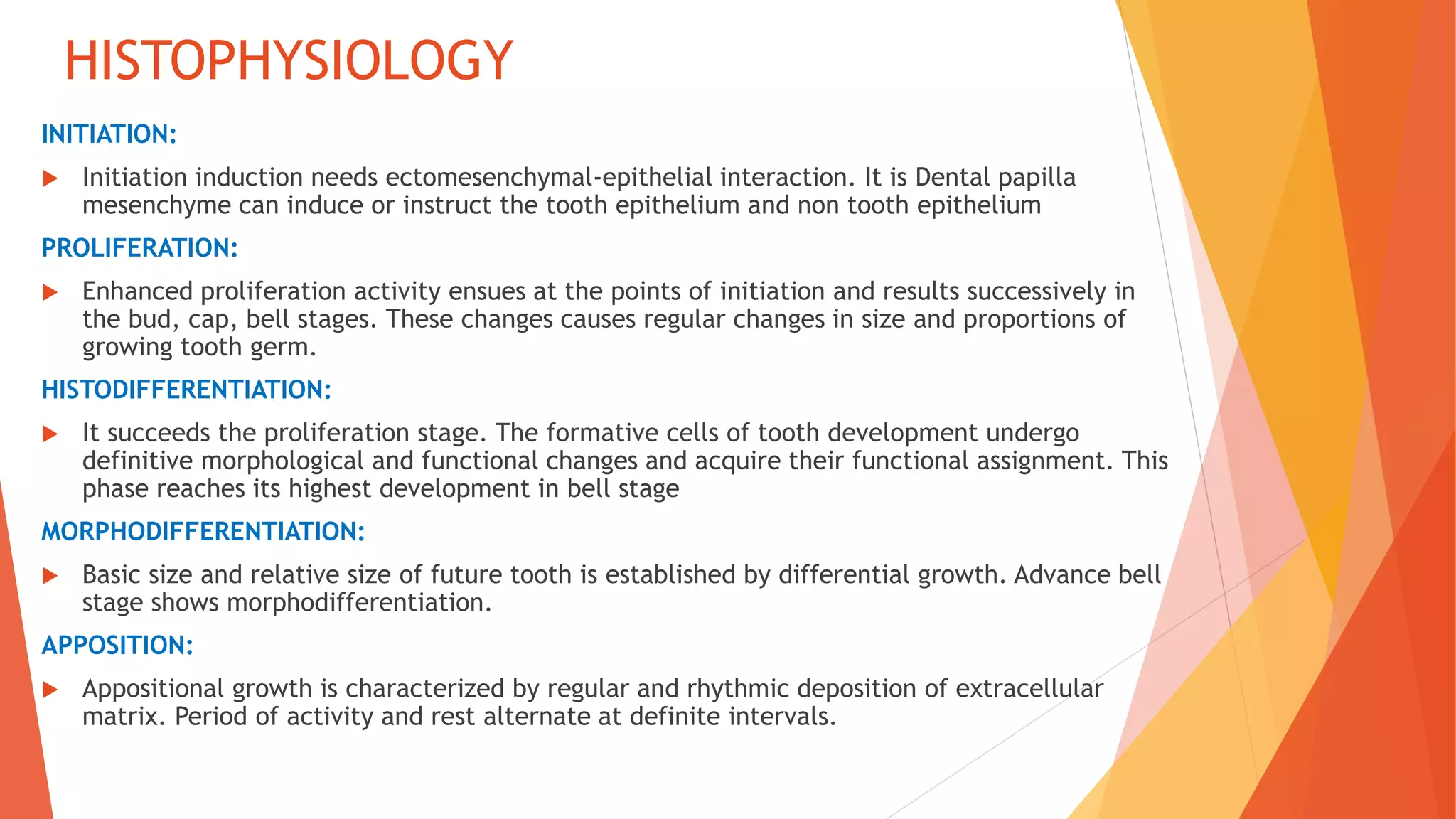 Development of teeth and supporting structures ppt Dr. Vasavi Reddy | PPTX