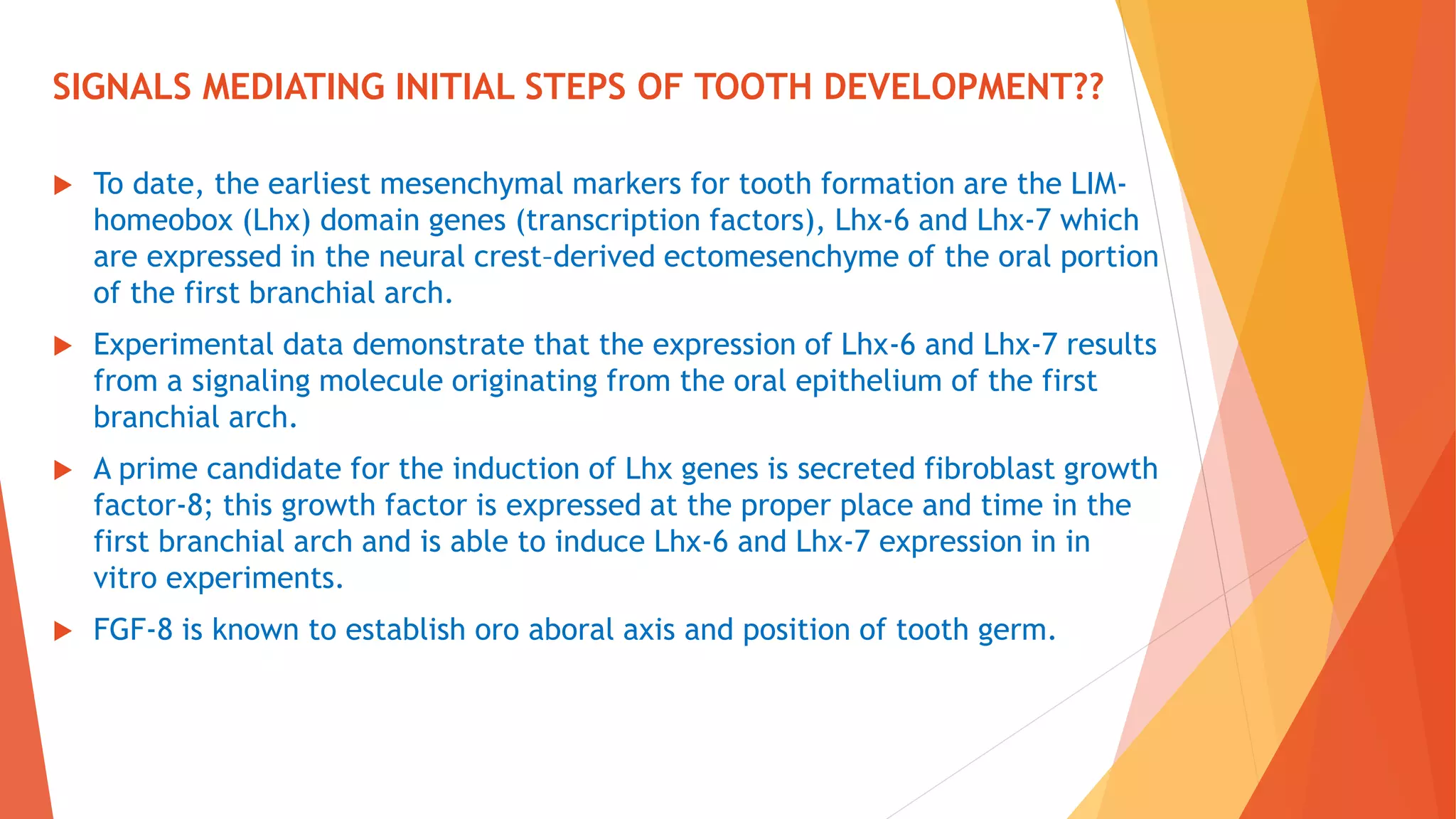 Development of teeth and supporting structures ppt Dr. Vasavi Reddy | PPTX