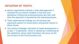 Development of teeth and supporting structures ppt Dr. Vasavi Reddy | PPTX