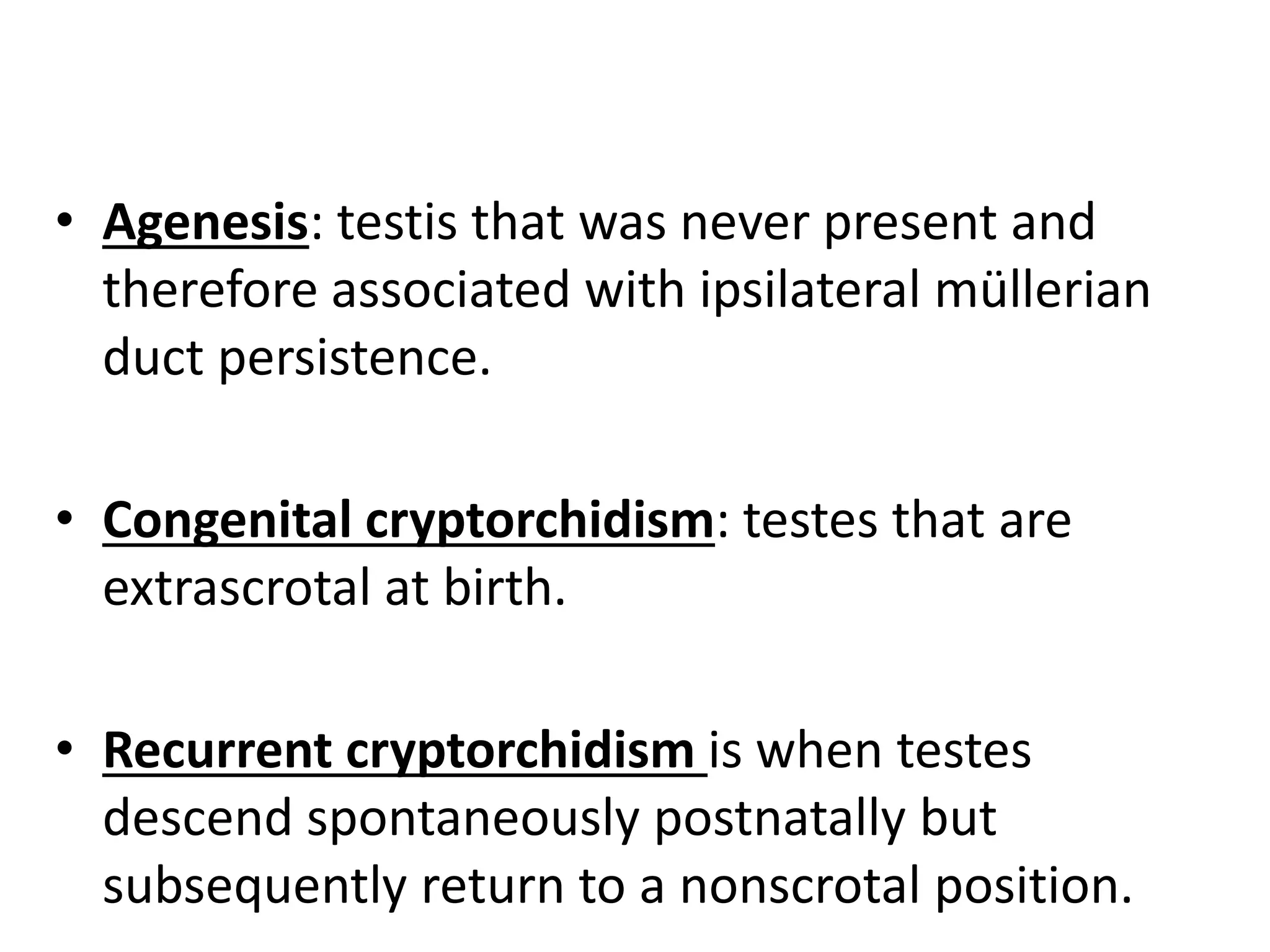 Development of testis & cryptorchidism presentation | PPTX