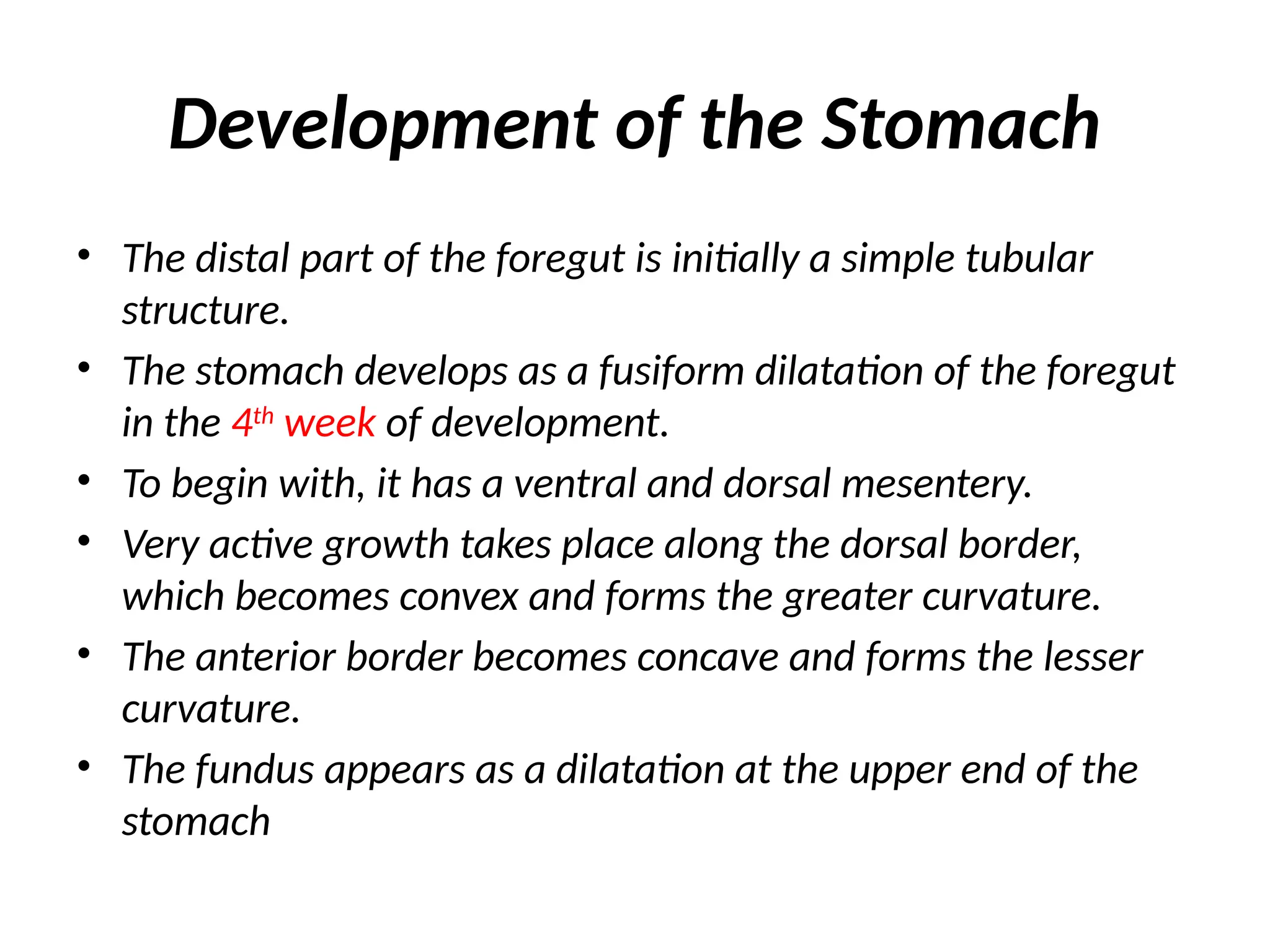 Development Of The Digestive System 11.pptx
