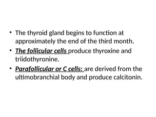 Development of the endocrine gland .pptx