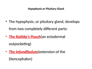 Development of the endocrine gland .pptx