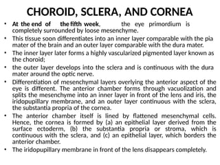 development of the eye for child eye dev | PPTX