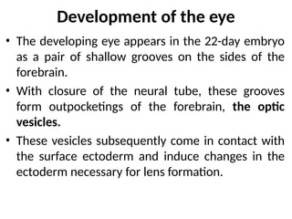 development of the eye for child eye dev | PPTX