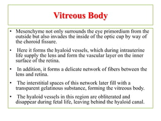 Development of the eyes Jimcale Xamari | PPTX