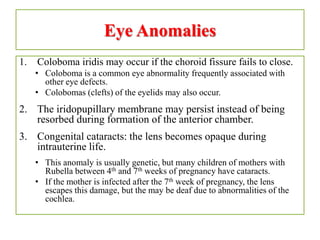 Development of the eyes Jimcale Xamari | PPTX