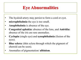 Development of the eyes Jimcale Xamari | PPTX