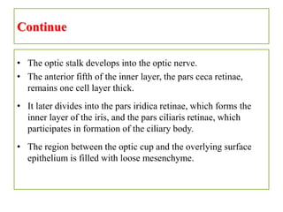 Development of the eyes Jimcale Xamari | PPTX