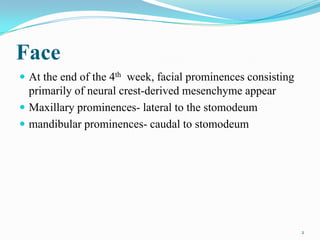 Development of the face | PPTX