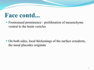 Development of the face | PPTX
