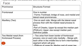 development of the face and palate.pptx