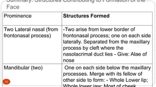 development of the face and palate.pptx