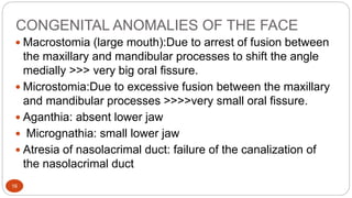 development of the face and palate.pptx