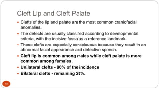 development of the face and palate.pptx