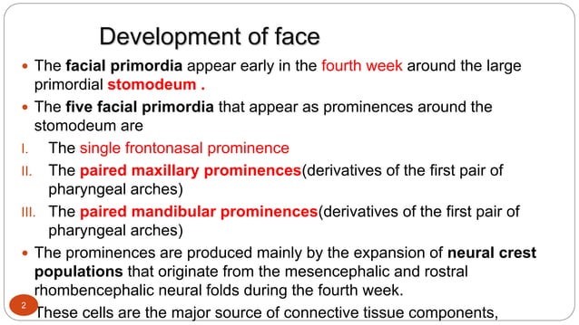 development of the face and palate.pptx