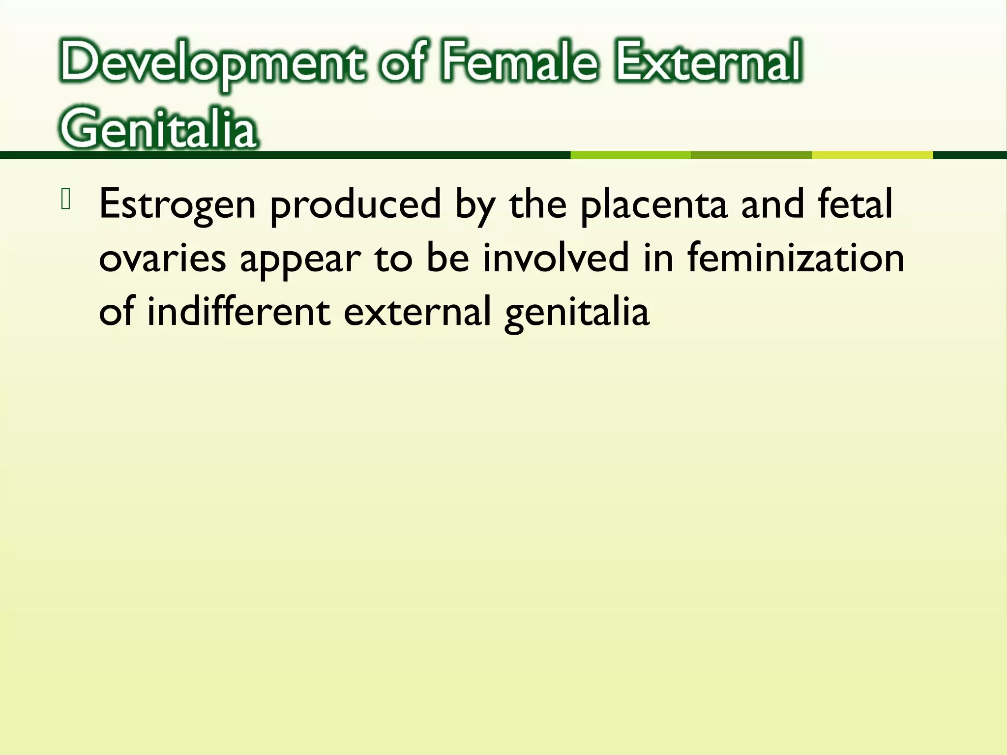 Development of the female genital system | PPT