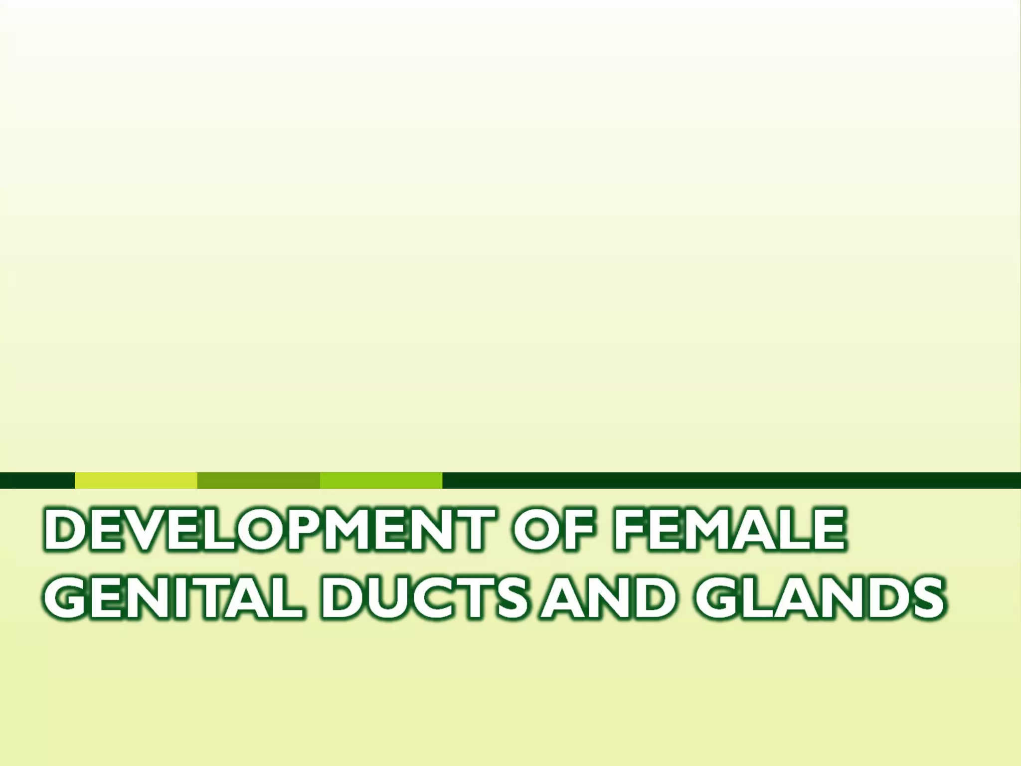 Development of the female genital system | PPT