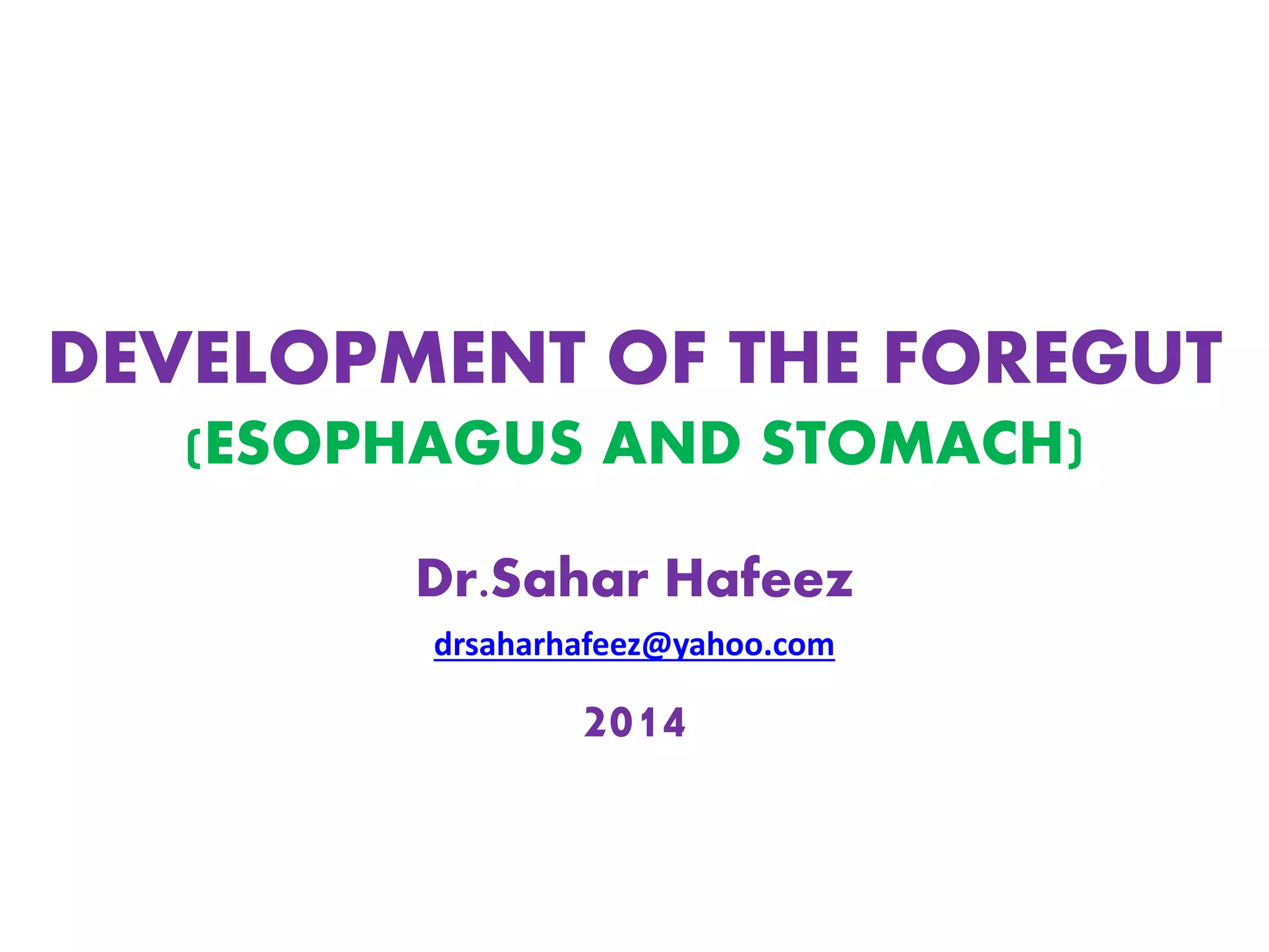 Development of the foregut (esophagus and stomach | PDF