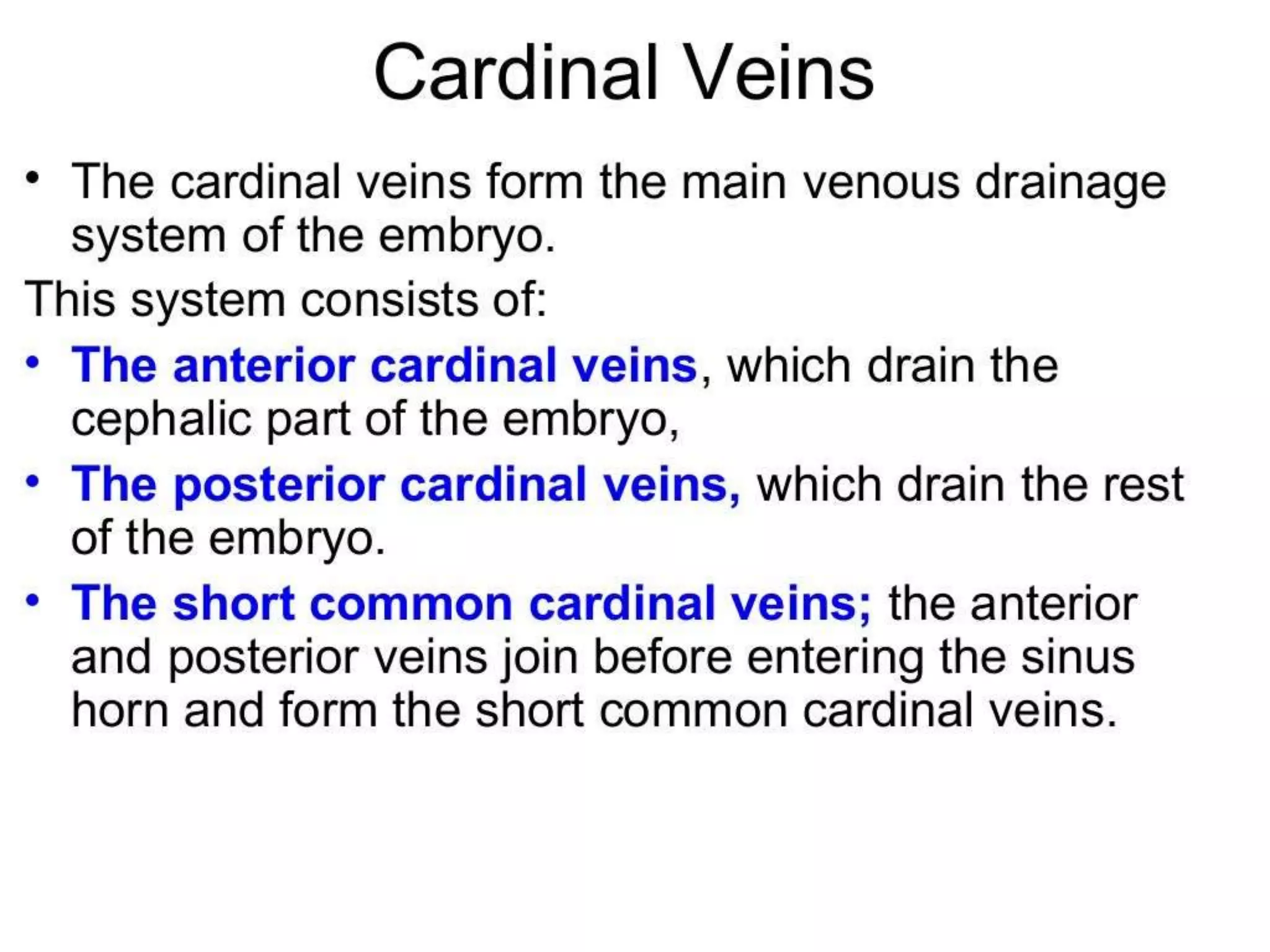 Development of the Great Vessels & Fetal Circulation.pptx