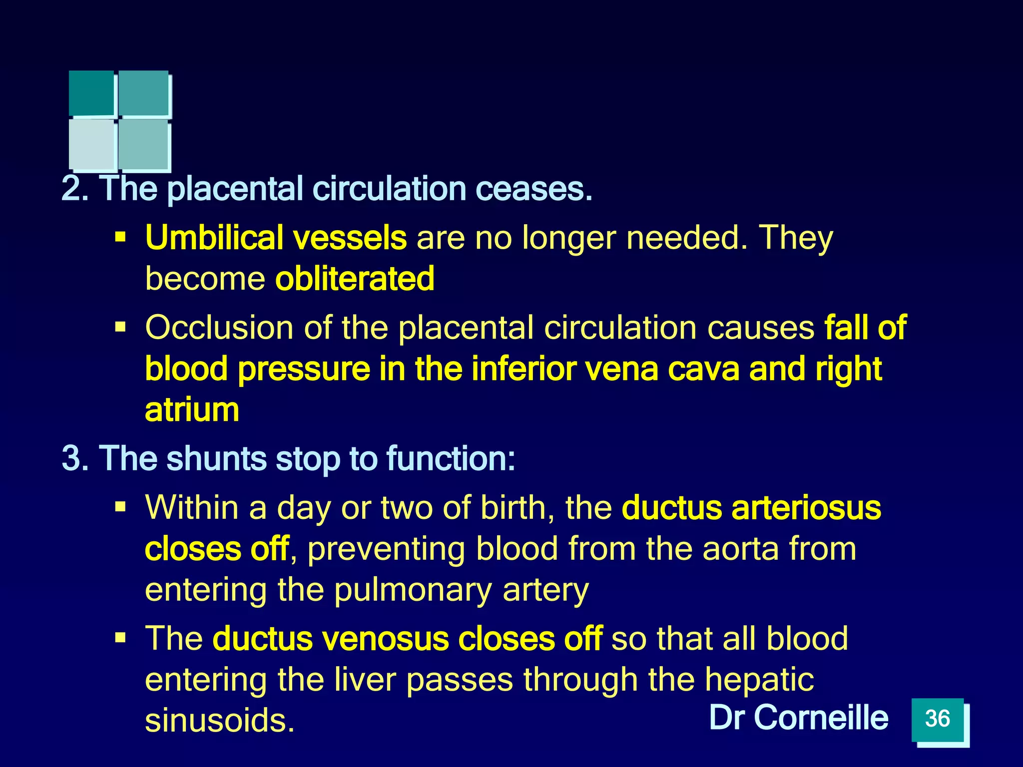Development of the Great Vessels & Fetal Circulation.pptx