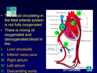Development of the Great Vessels & Fetal Circulation.pptx