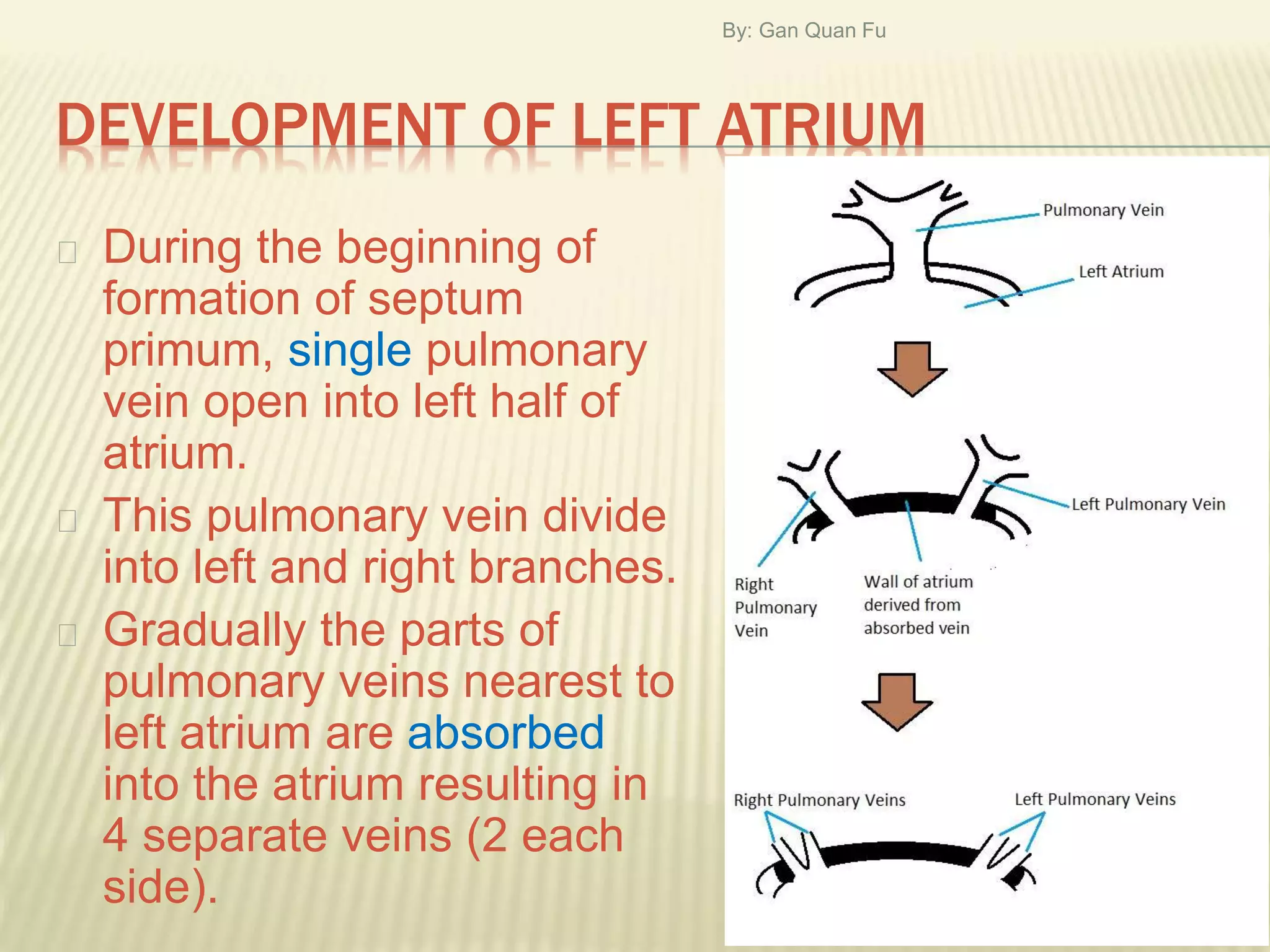 Development of the heart | PPTX