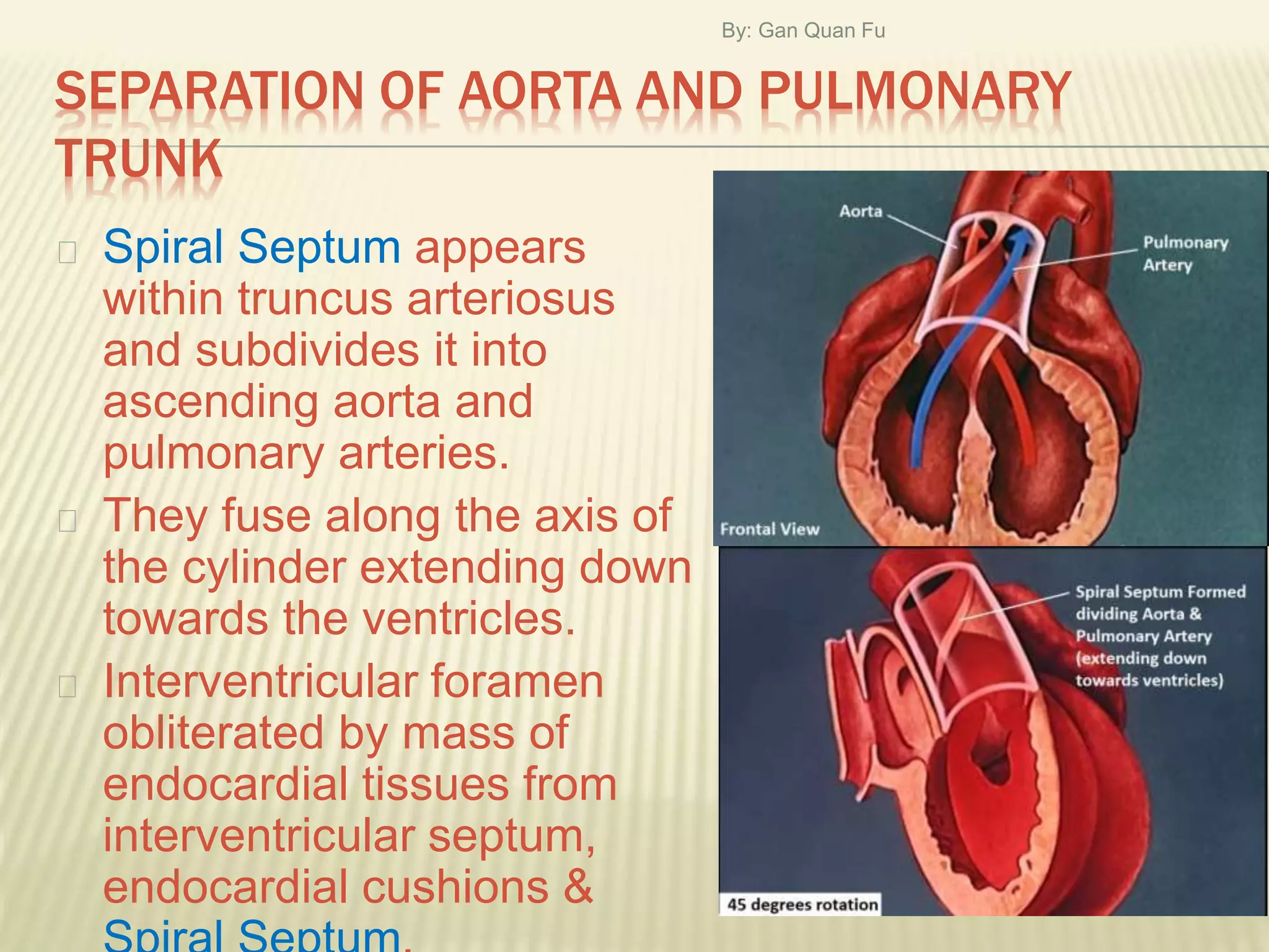 Development of the heart | PPTX