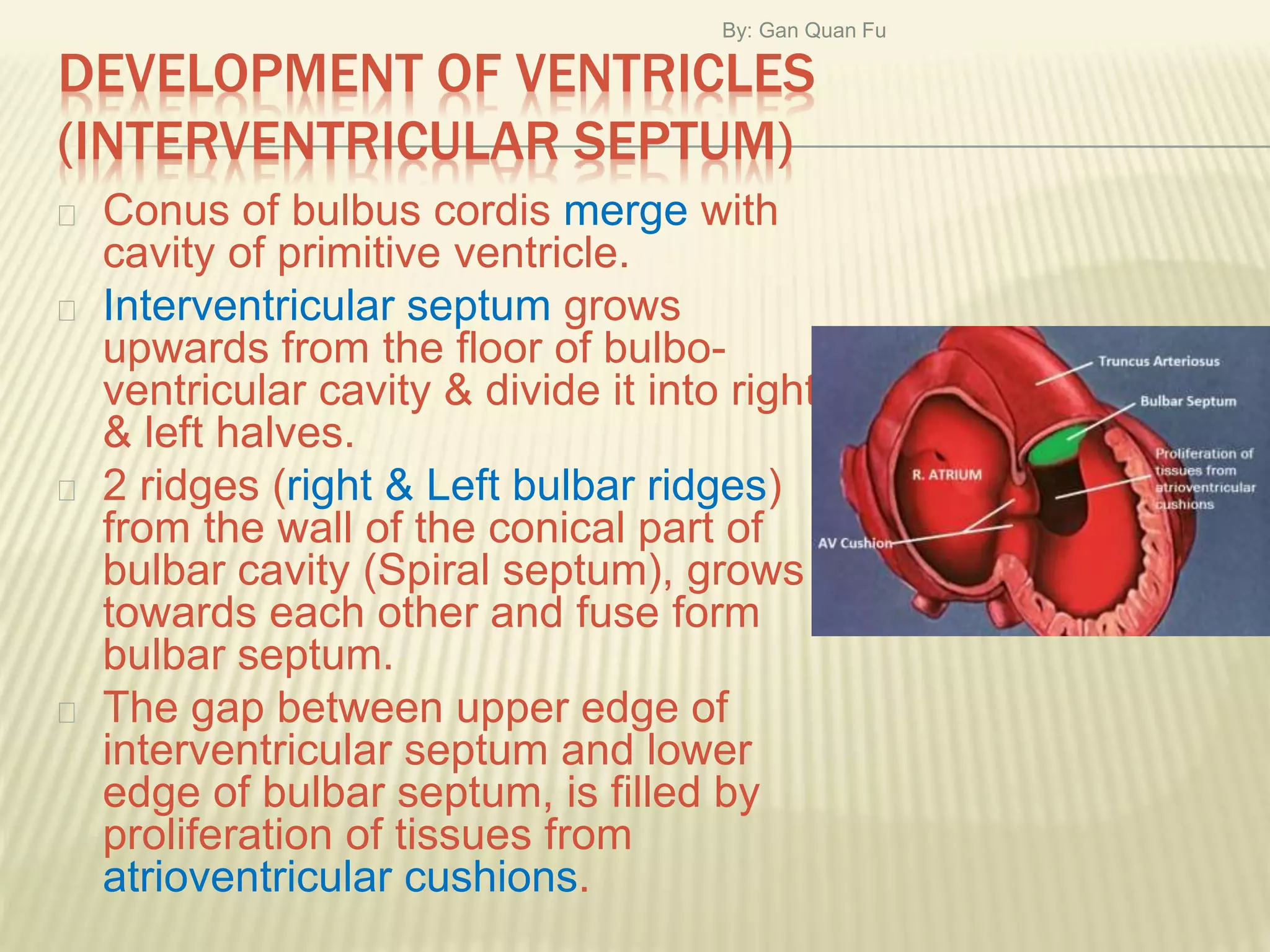 Development of the heart | PPTX