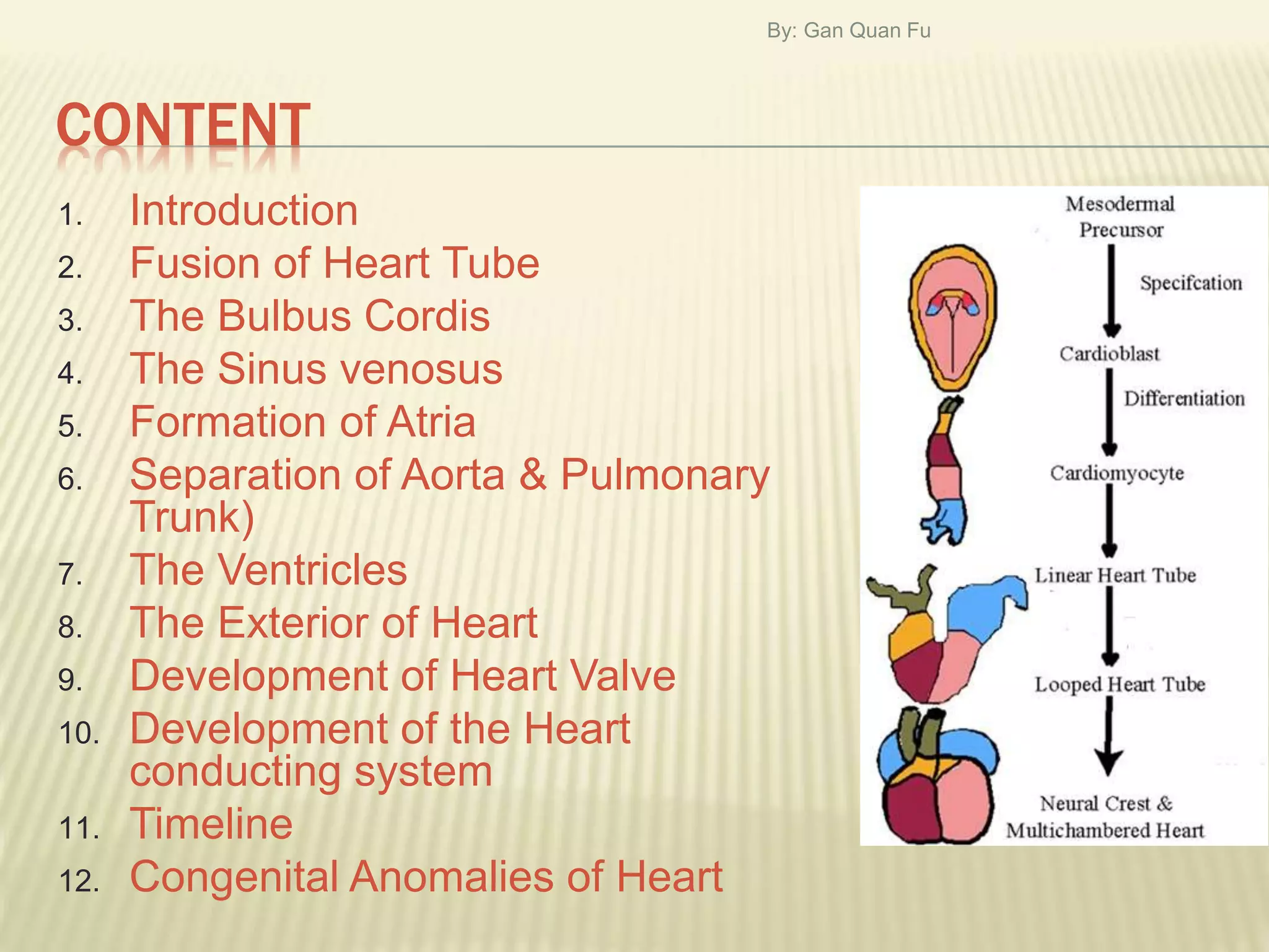 Development of the heart | PPTX
