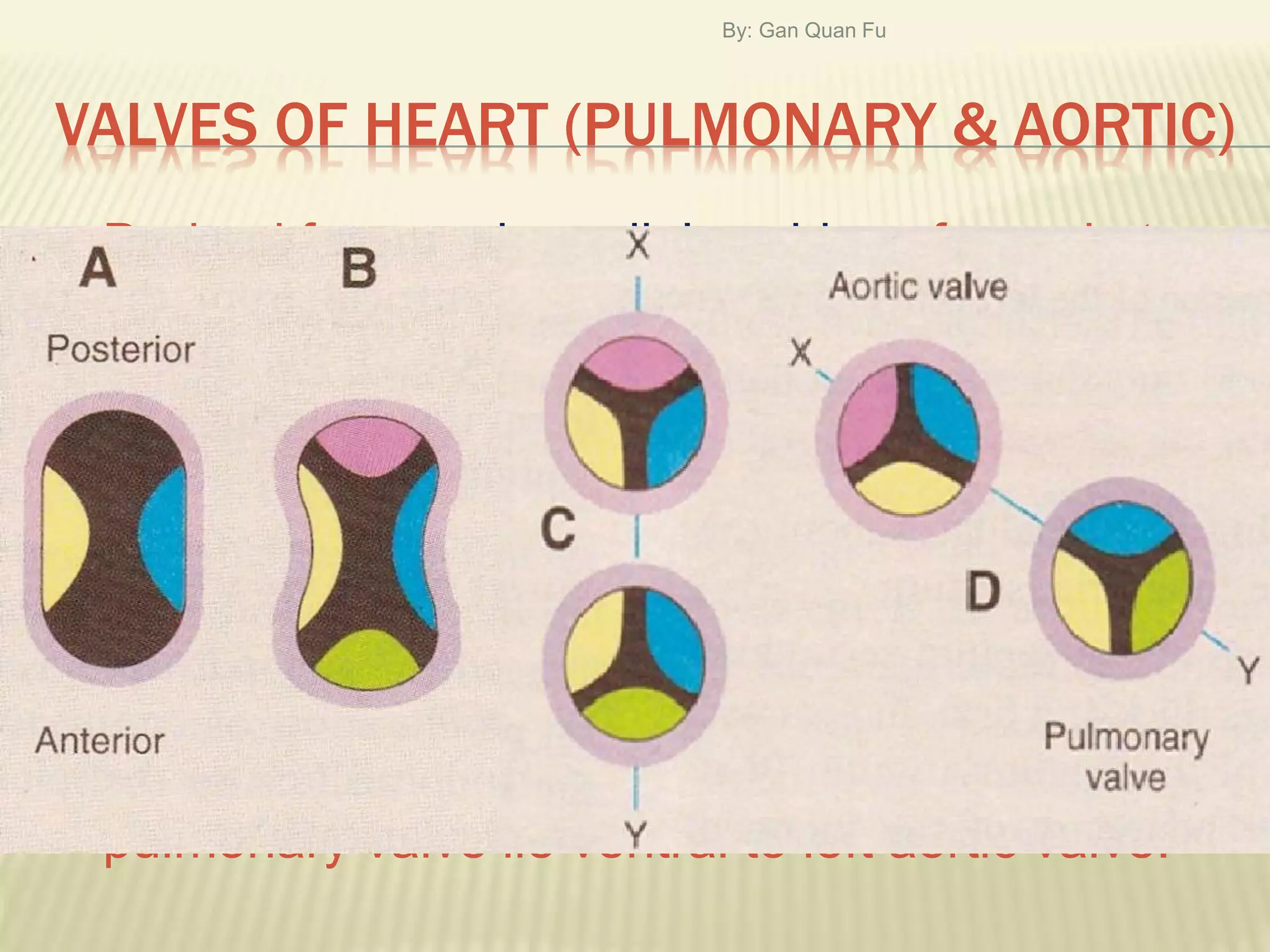 Development of the heart | PPTX