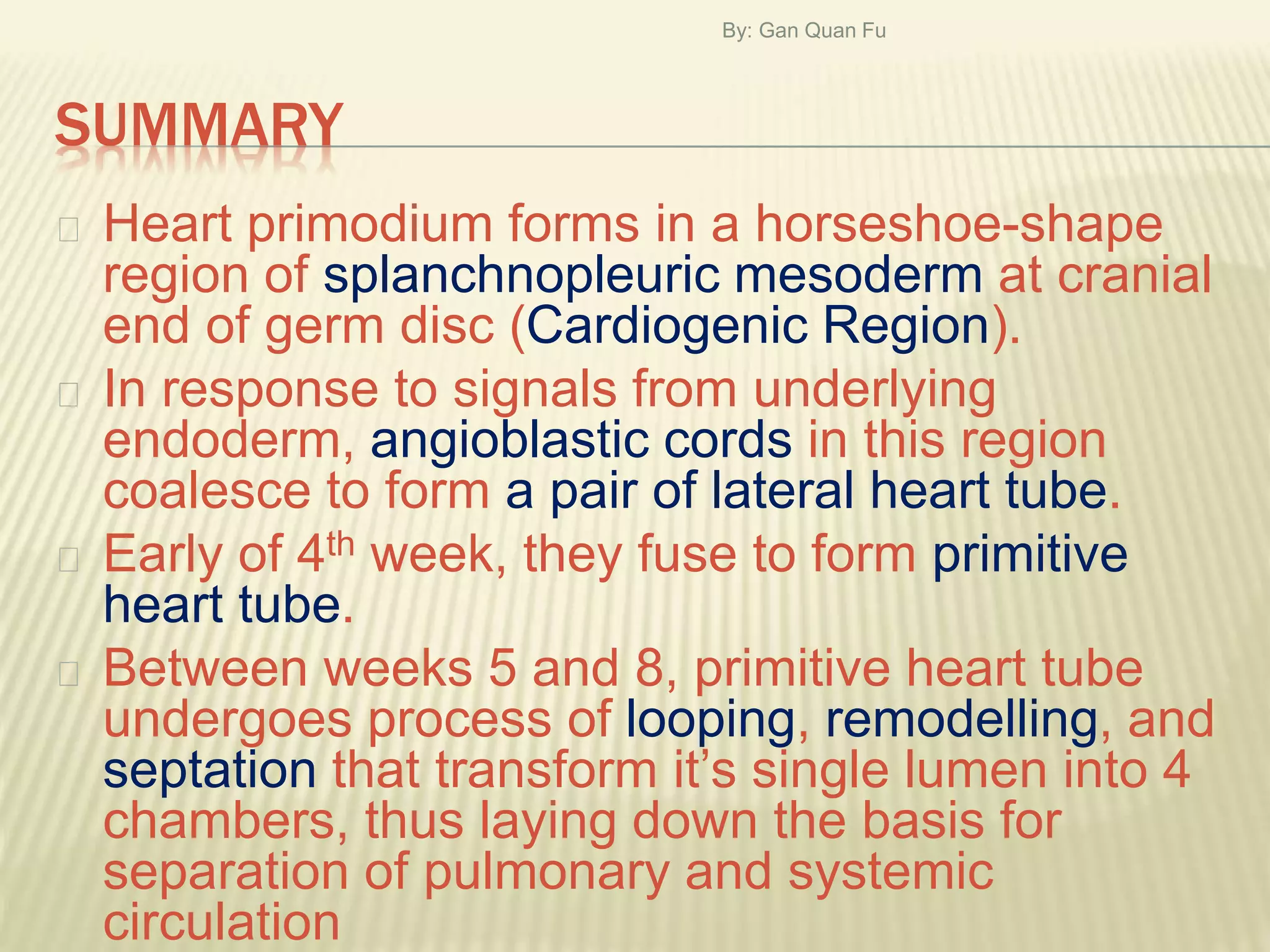Development of the heart | PPTX