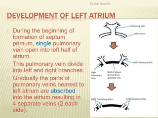 Development of the heart | PPTX