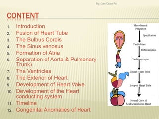 Development of the heart | PPTX
