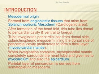 Development of the heart | PPTX