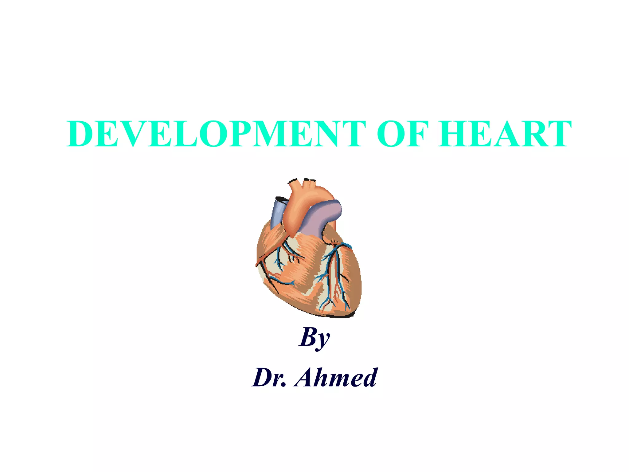 Development of the heart | PPT