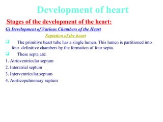 Development of the heart | PPT