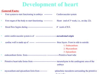 Development of the heart | PPT