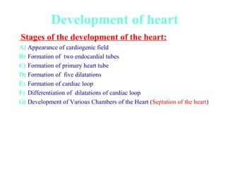 Development of the heart | PPT