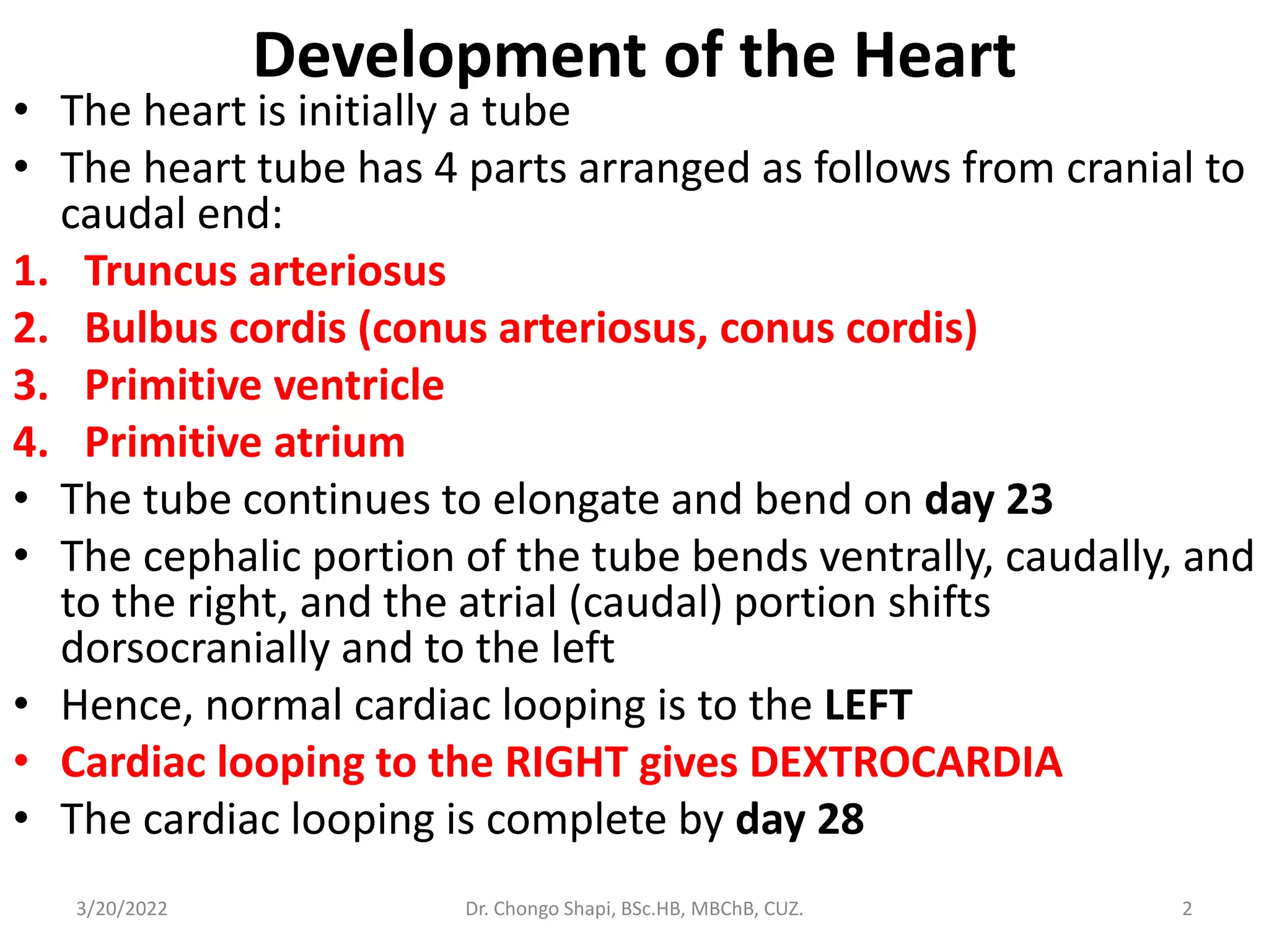 Development of the Heart.pdf
