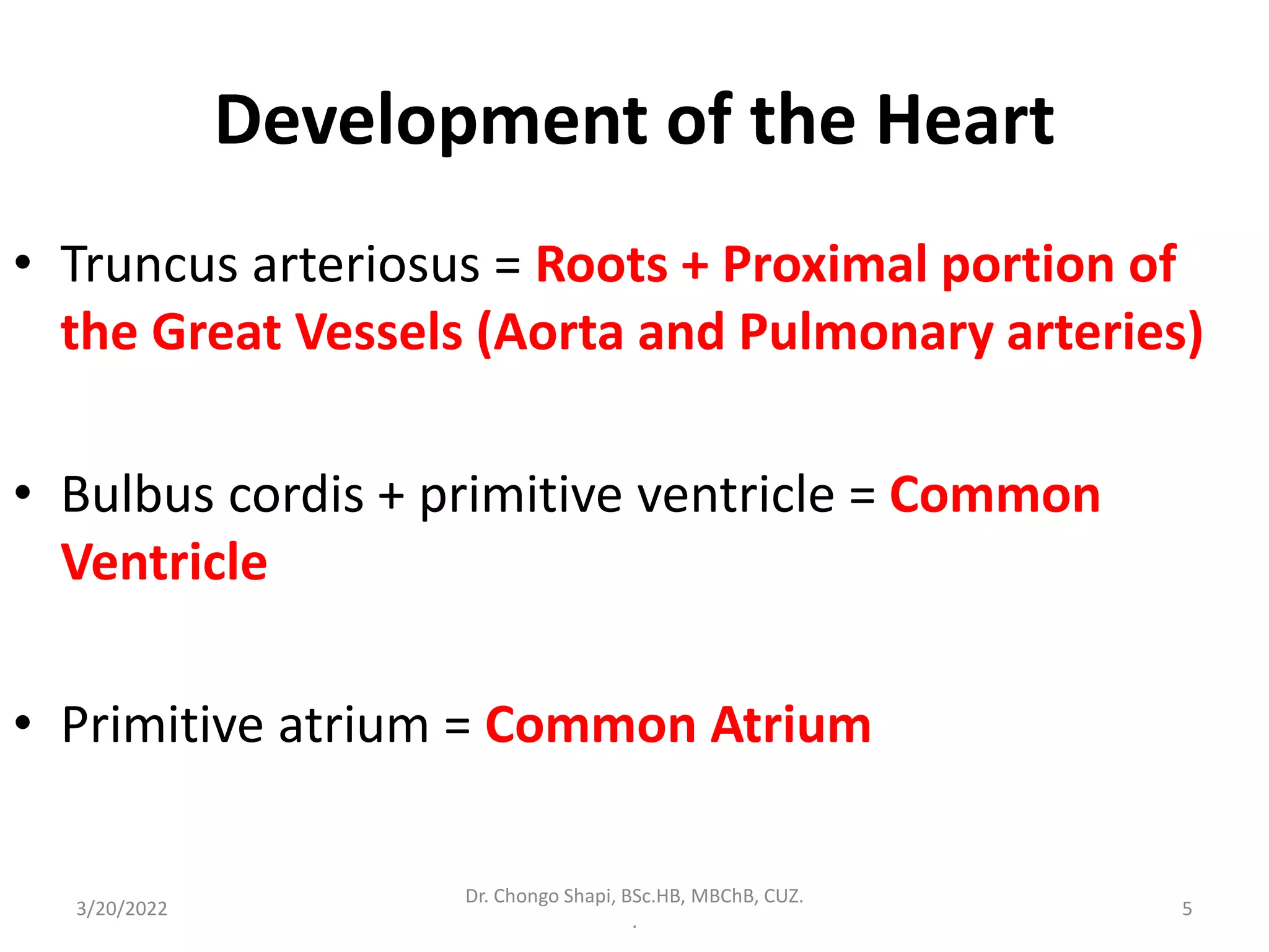 Development of the Heart.pdf