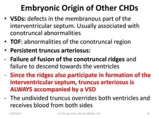 Development of the Heart.pdf