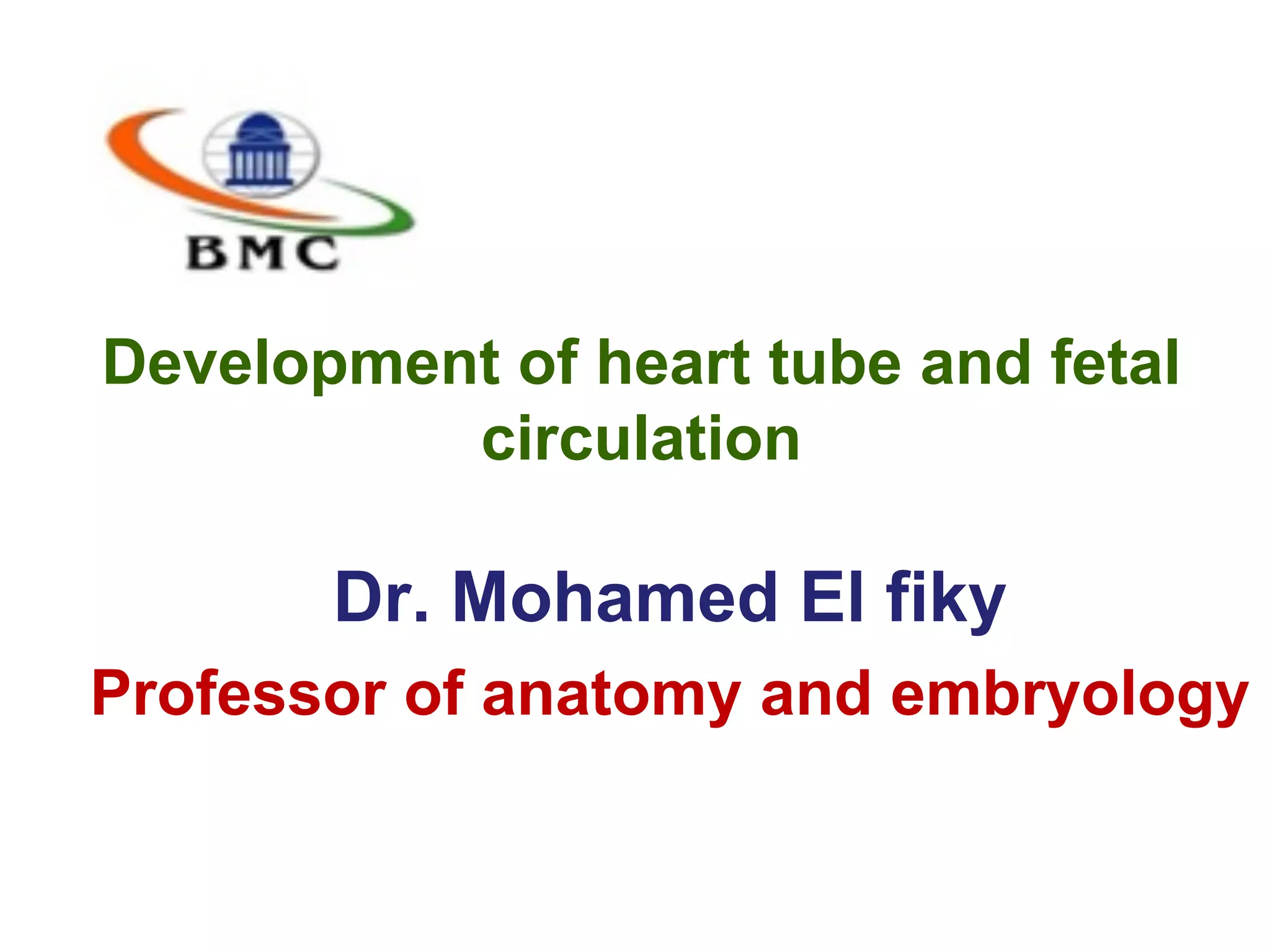 Development of the heart tube | PDF