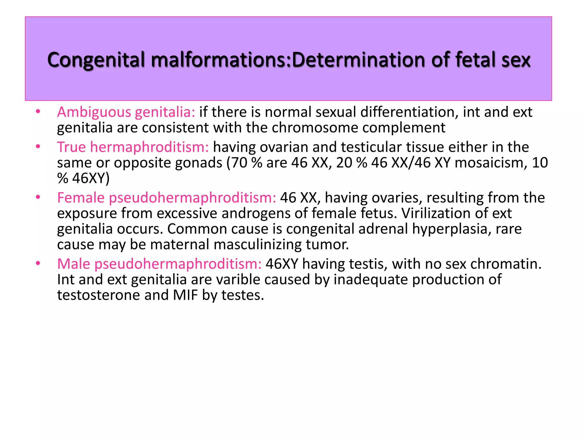 Development of the male and female genital tracts | PPTX