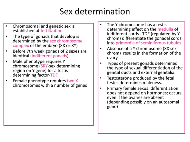 Development of the male and female genital tracts | PPTX