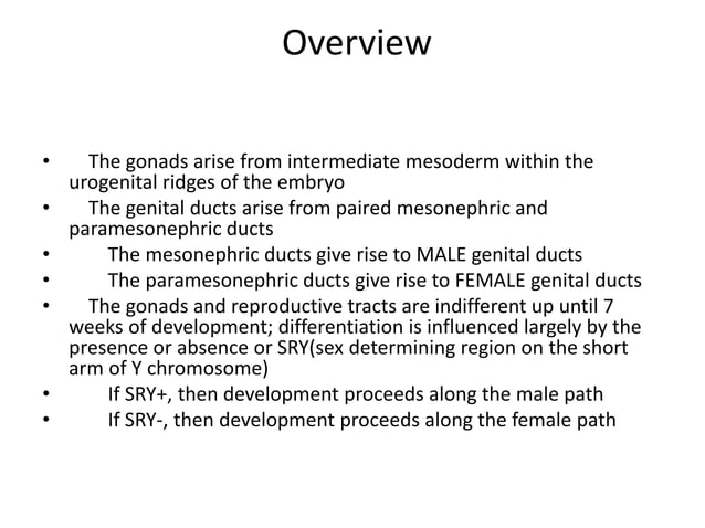 Development of the male and female genital tracts | PPTX